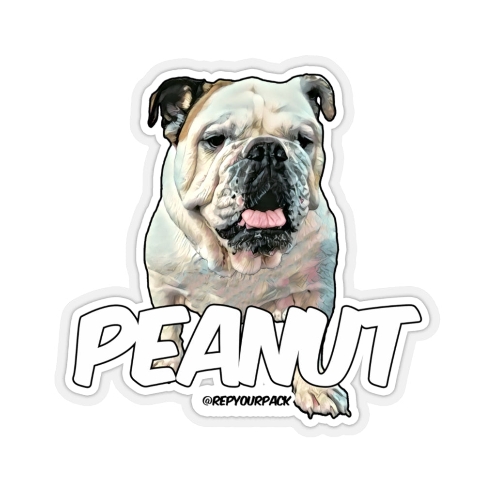 Peanut Stickers – REPYOURPACK