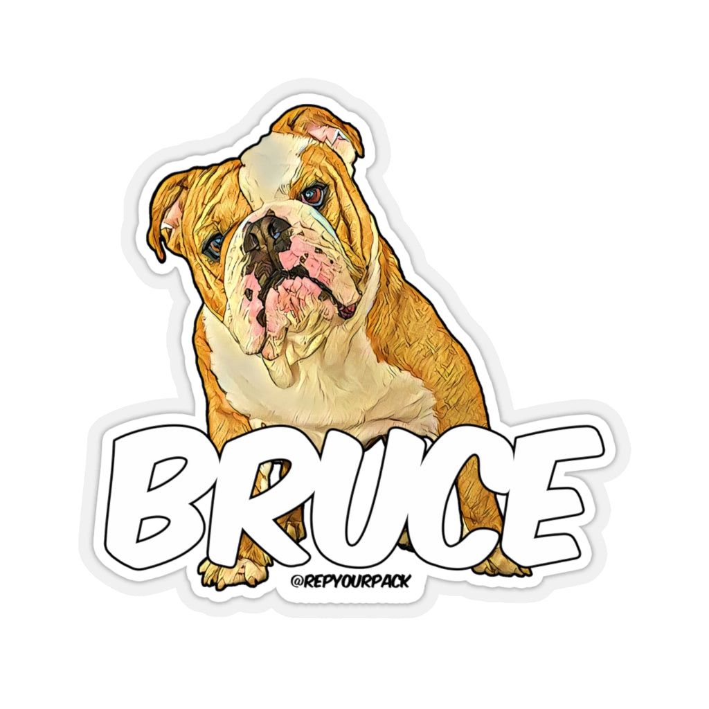 Bruce Stickers – REPYOURPACK